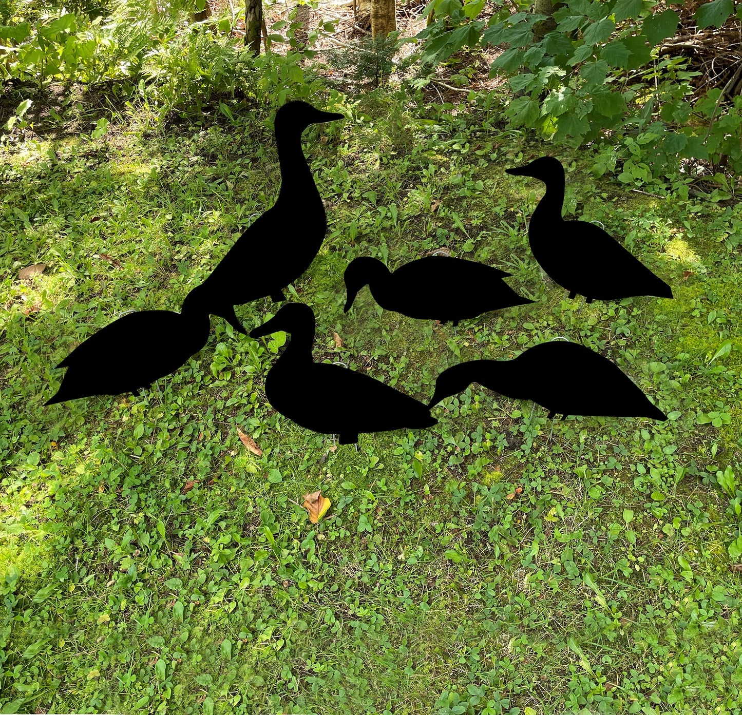 5 SET OF 12 2D DUCKS (DECOYS)/ Unprinted black. - Passion for hunting ...